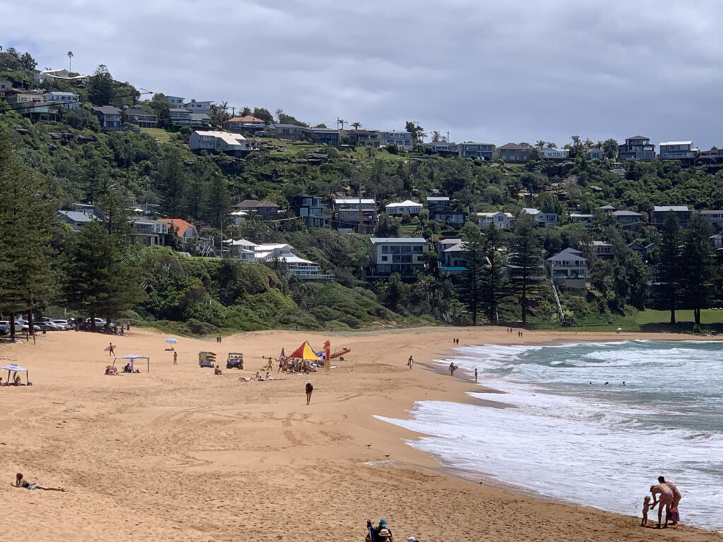 Newsletter – March | The Palm Beach & Whale Beach Association INC